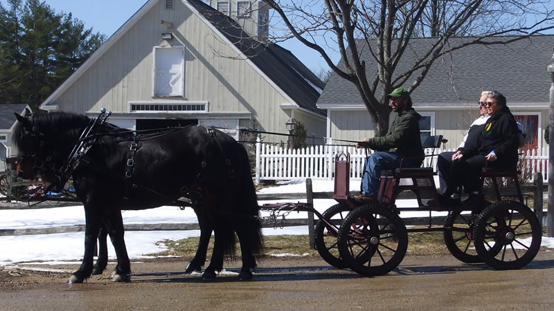 Horse Rides - Charmingfare Farm
