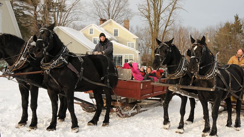 Charmingfare Farm - It's a Zoo