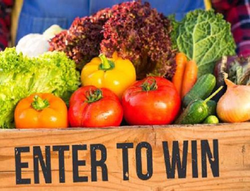 Chance to win 4 tickets to Egg-Citing Egg Hunt - Charmingfare Farm