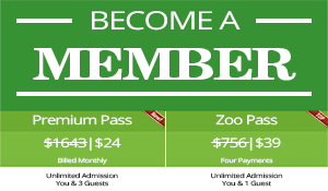 Charmingfare Farm - It's a Zoo