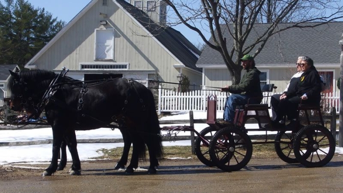 Spring - Charmingfare Farm