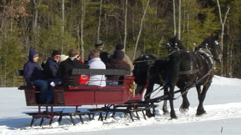 Sleigh Rides - Charmingfare Farm