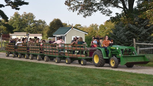Company Outings - Charmingfare Farm
