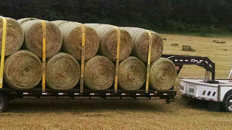 Round Bales Charmingfare Farm round-bales-charmingfare-farm