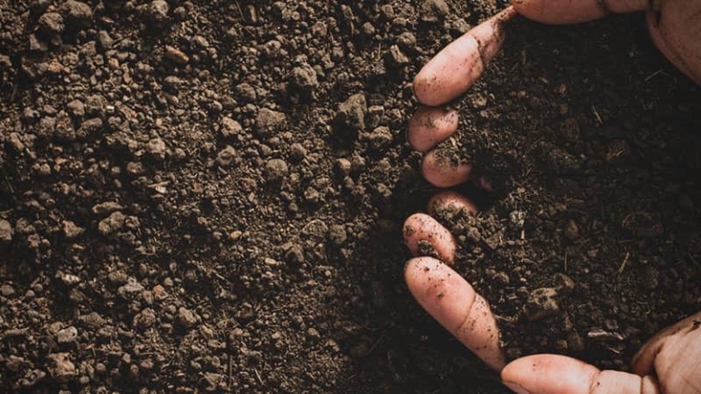 Loam/Topsoil for sale - Charmingfare Farm