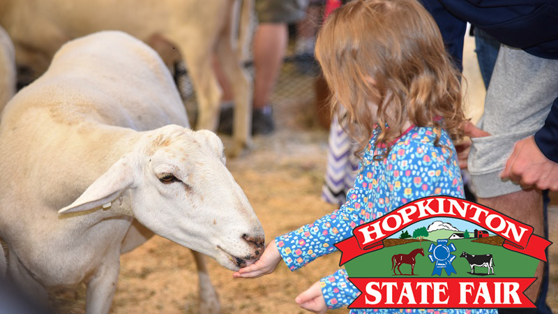 Charmingfare Farm - It's a Zoo