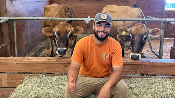 Charmingfare Farm - It's a Zoo