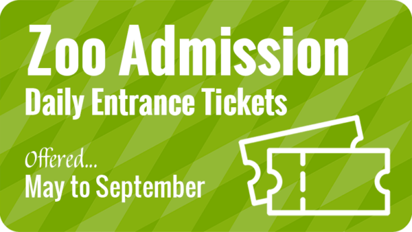 Charmingfare Farm - It's a Zoo